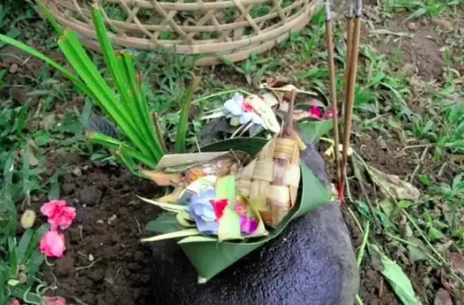 Menanam Ari Ari Menurut Hindu: Makna, Tata Cara, dan Nilai Spiritualnya ...
